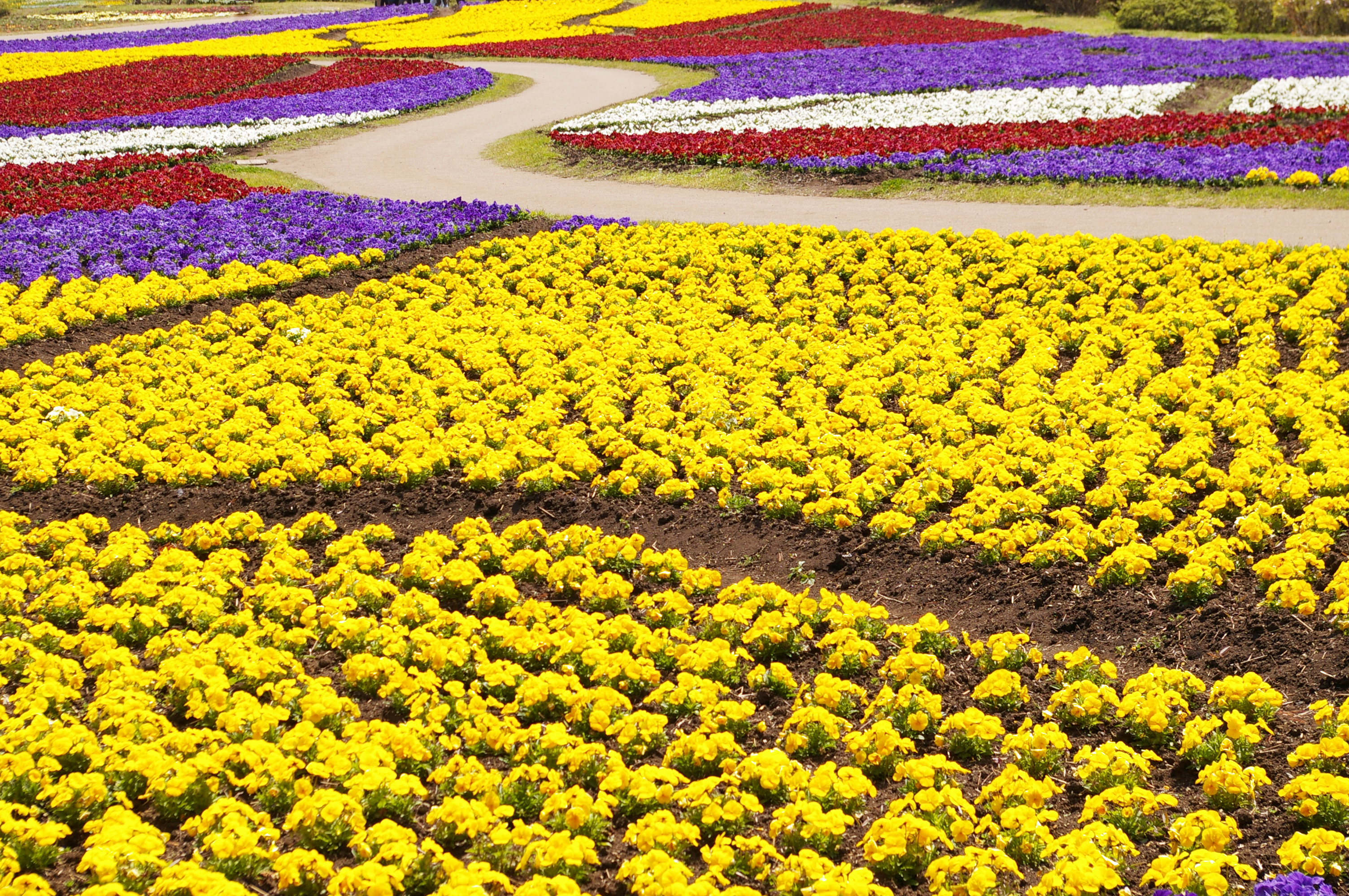 整骨院・接骨院・整体向け 無料ホームページテンプレート tp_clinic3